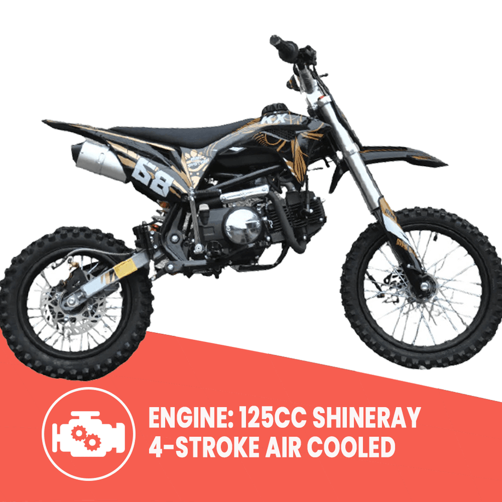 Motoworks 125cc Petrol Powered 4-Stroke 4-Speed Manual Kids Dirt Bike ...