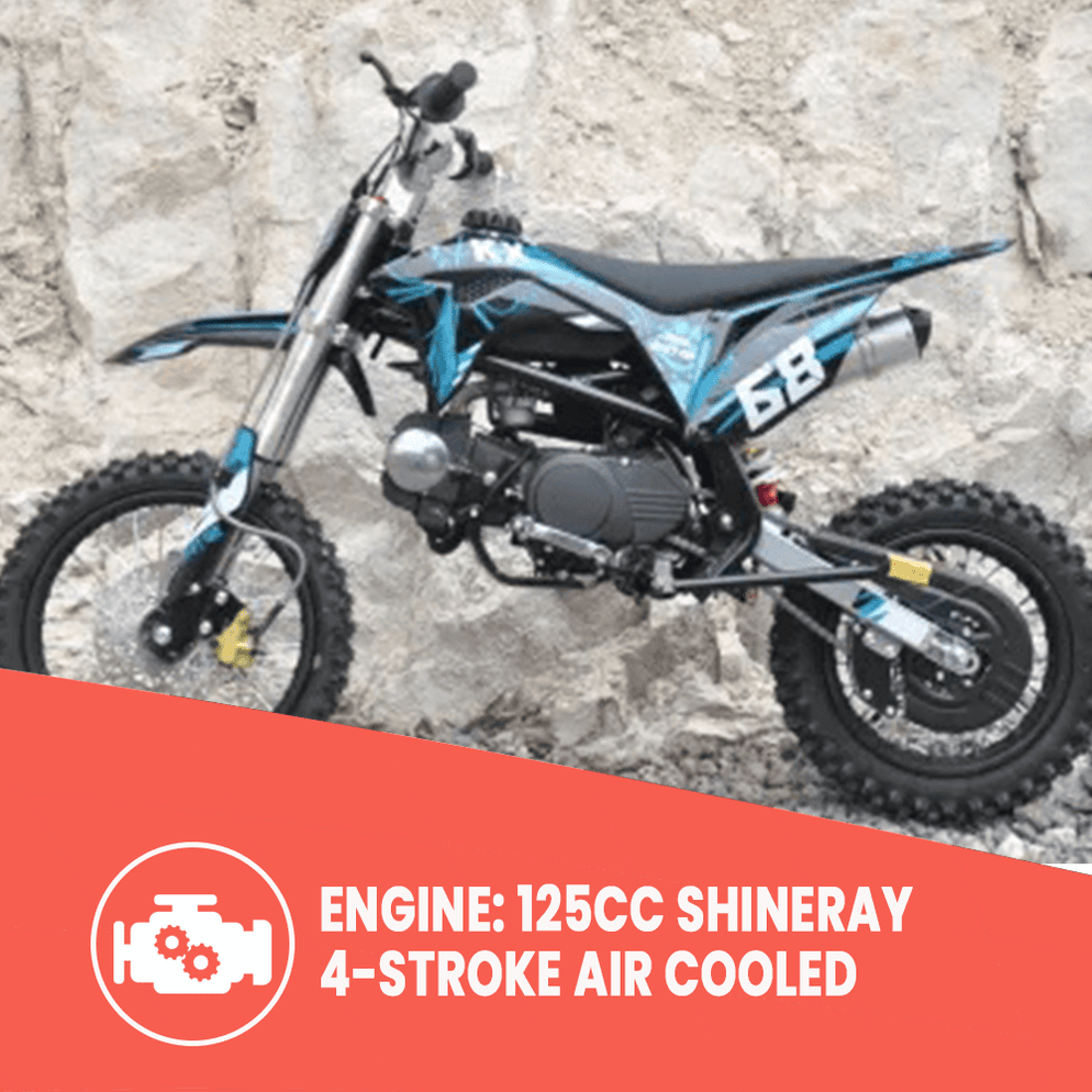 Motoworks 125cc Petrol Powered 4-Stroke 4-Speed Manual Kids Dirt Bike ...