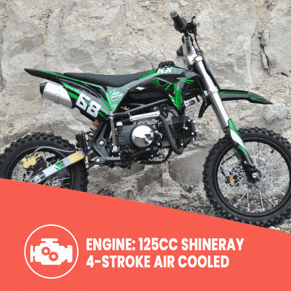 Motoworks 125cc Petrol Powered 4-Stroke 4-Speed Manual Kids Dirt Bike ...