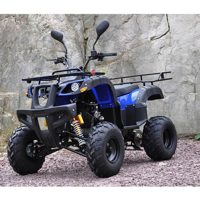 Motoworks 150cc Petrol Powered 4-Stroke Farm GY6 Quad Bike - Blue ...